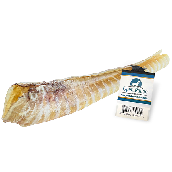 Open Range Beef Trachea 12" – The Raw Connoisseurs